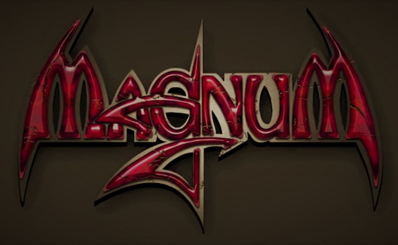 «A Buyer's Guide»: Magnum