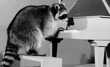 Rocking Raccoon - Τα κόμπλεξ των Metallica για τον Les Paul